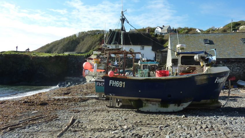 Cadgwith - Down The Cove