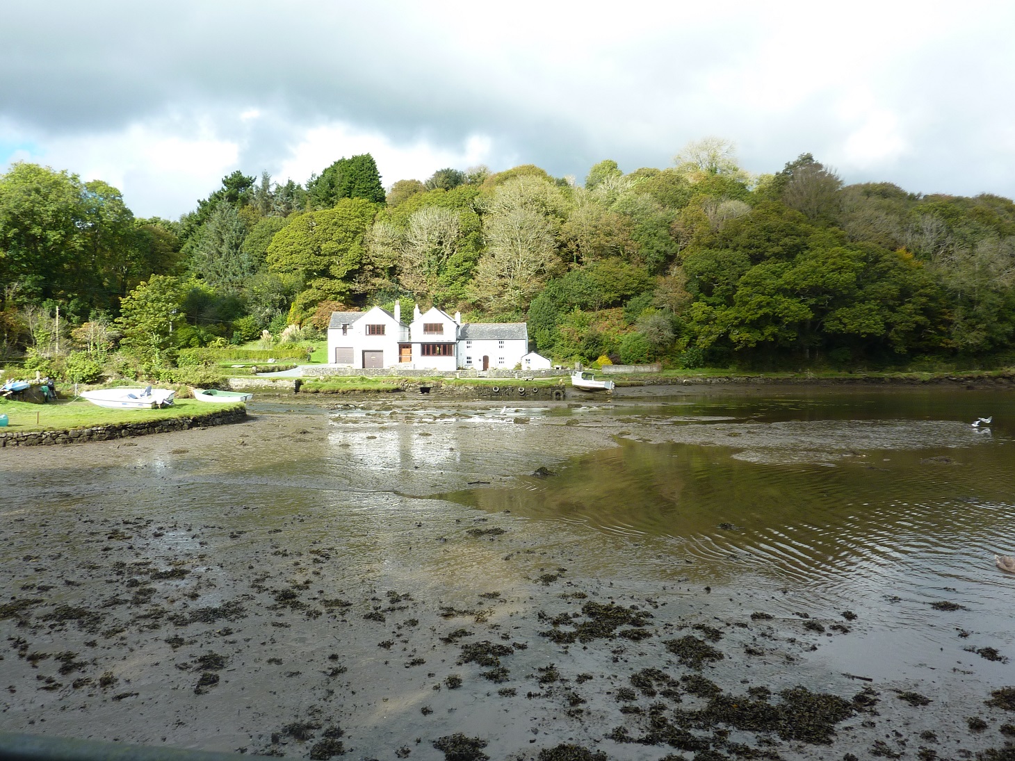 Helford River - Down The Cove