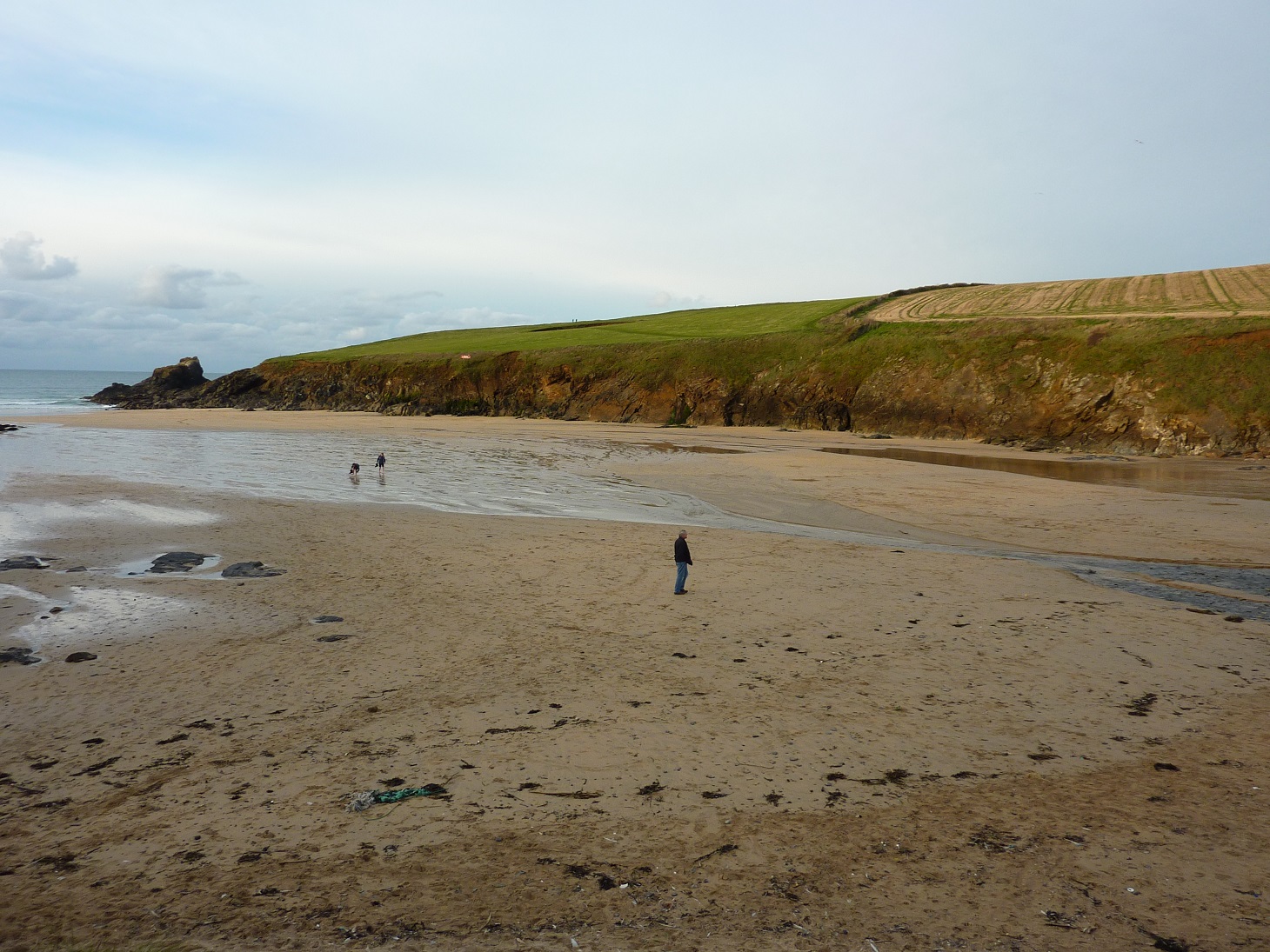 Trevone - Down The Cove