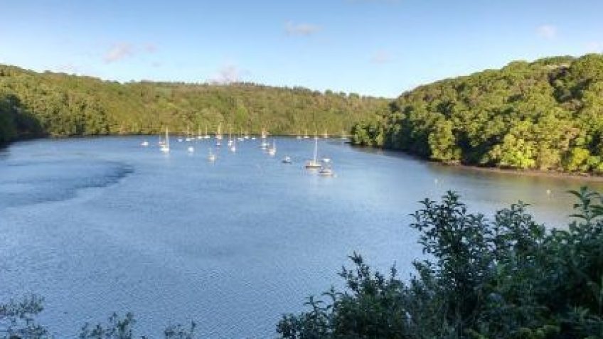 Malpas - Down The Cove