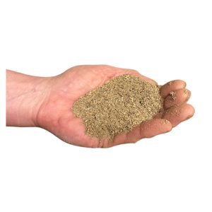 Oak Wood Dust - Down The Cove